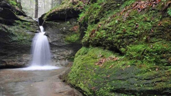Best places to visit in Indiana